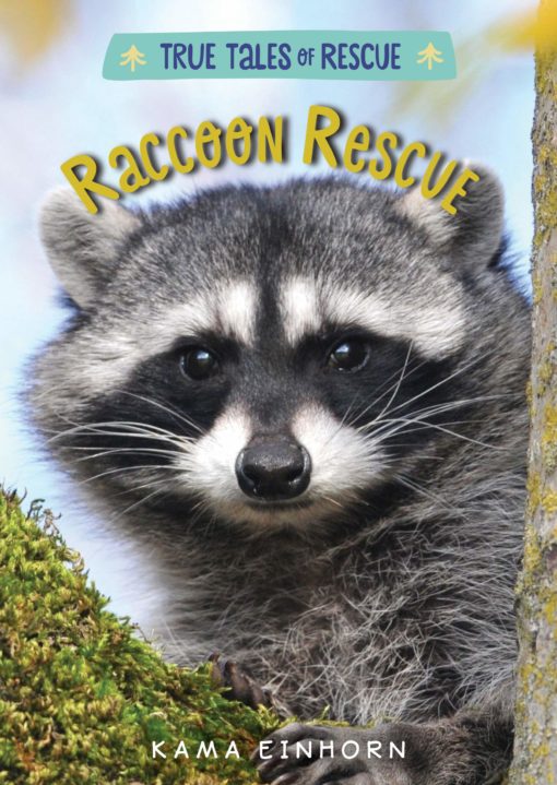 RACCOON RESCUE | Kids' BookBuzz